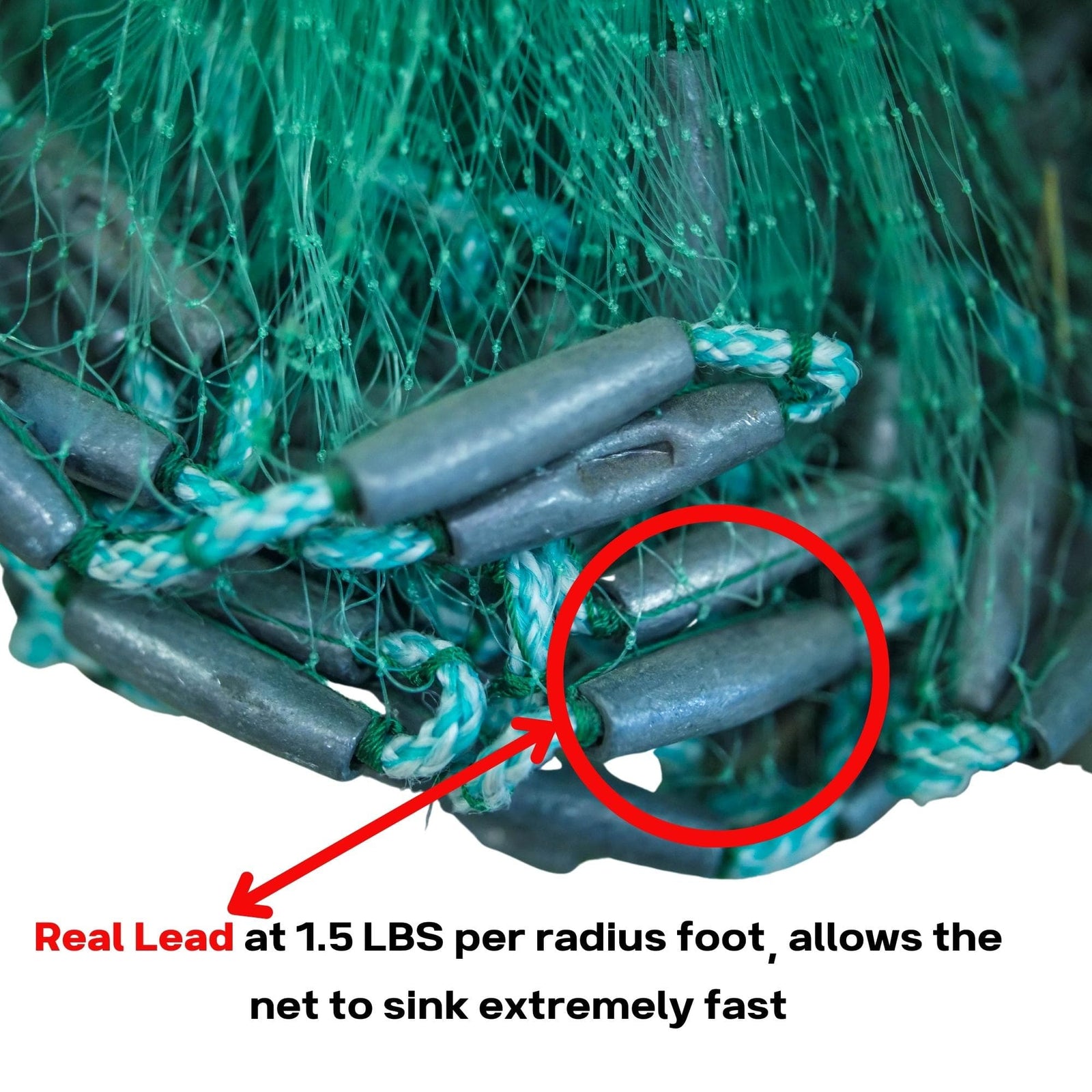 Roll over image to zoom in